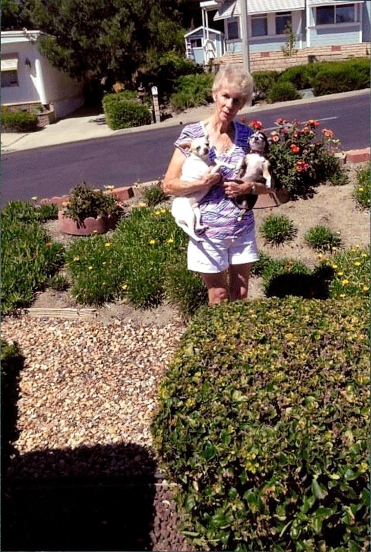 Patricia Amburgey: Mar 19, 1941 - Jul 21, 2016