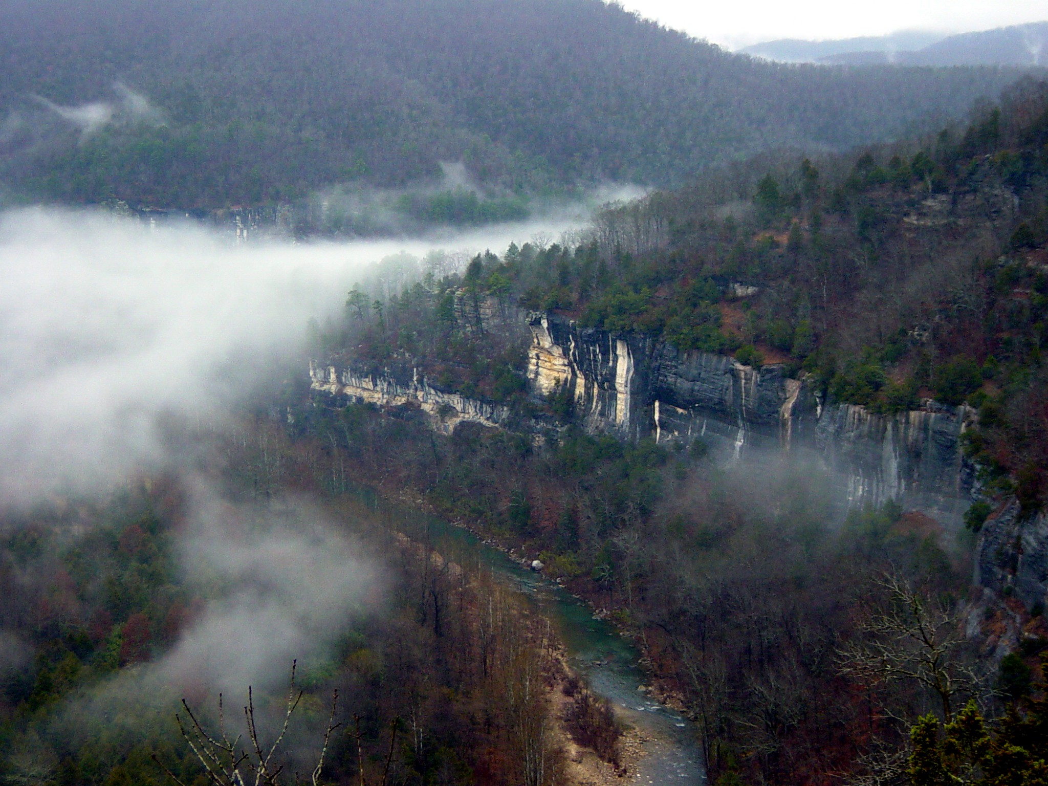 Bill Andrews: Nov 7, 1937 - Feb 22, 2015