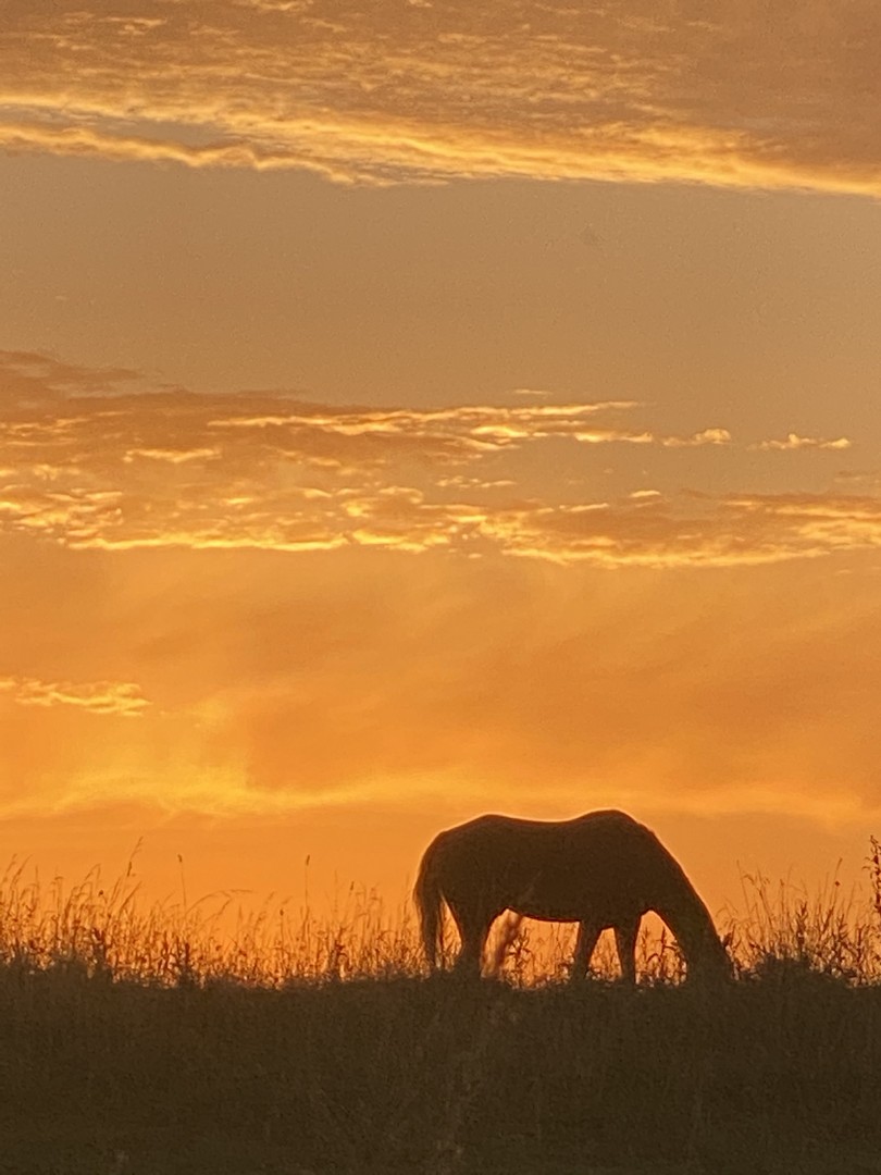 Amy L Cooksey: Oct 13, 1969 - Jun 13, 2025