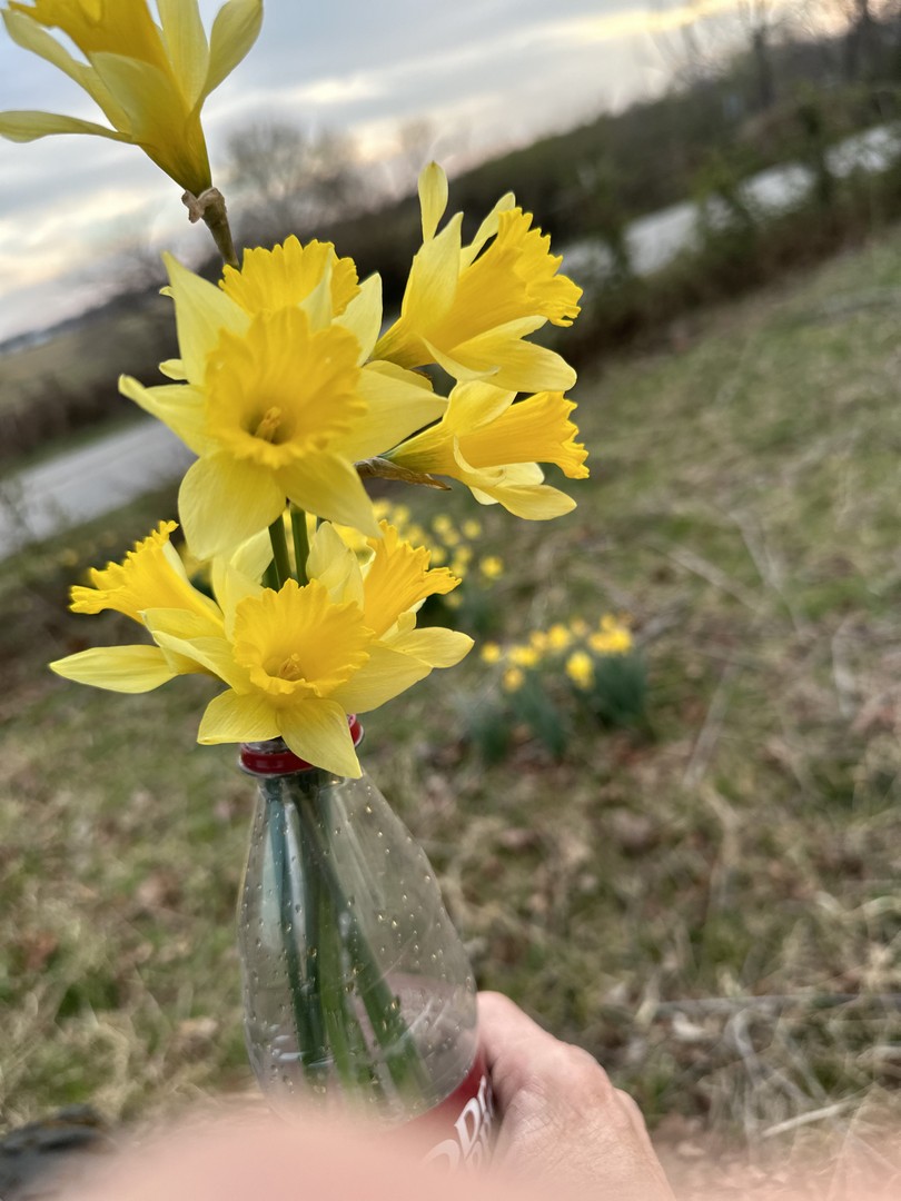 Amy L Cooksey: Oct 13, 1969 - Jun 13, 2025