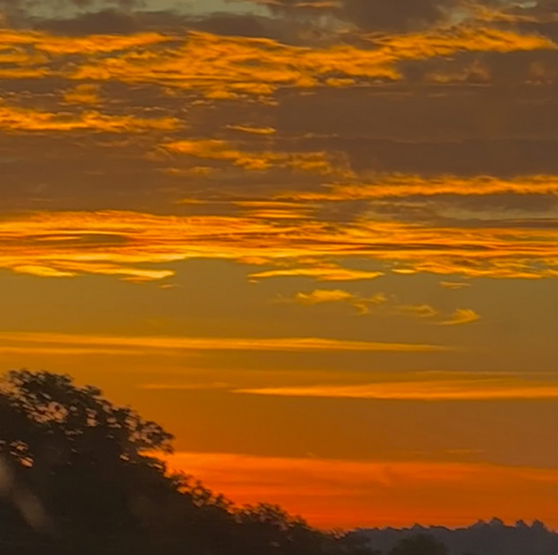 Amy L Cooksey: Oct 13, 1969 - Jun 13, 2025