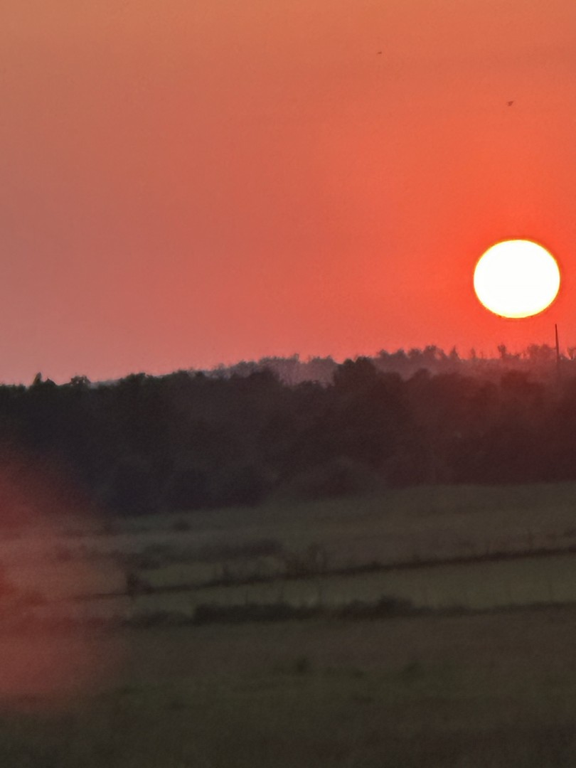 Amy L Cooksey: Oct 13, 1969 - Jun 13, 2025