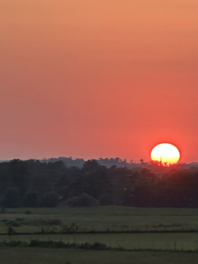 Amy L Cooksey: Oct 13, 1969 - Jun 13, 2025