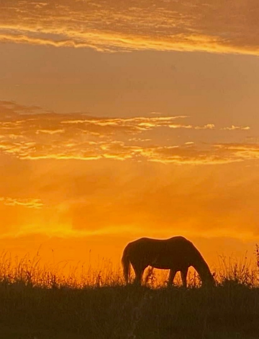 Amy L Cooksey: Oct 13, 1969 - Jun 13, 2025