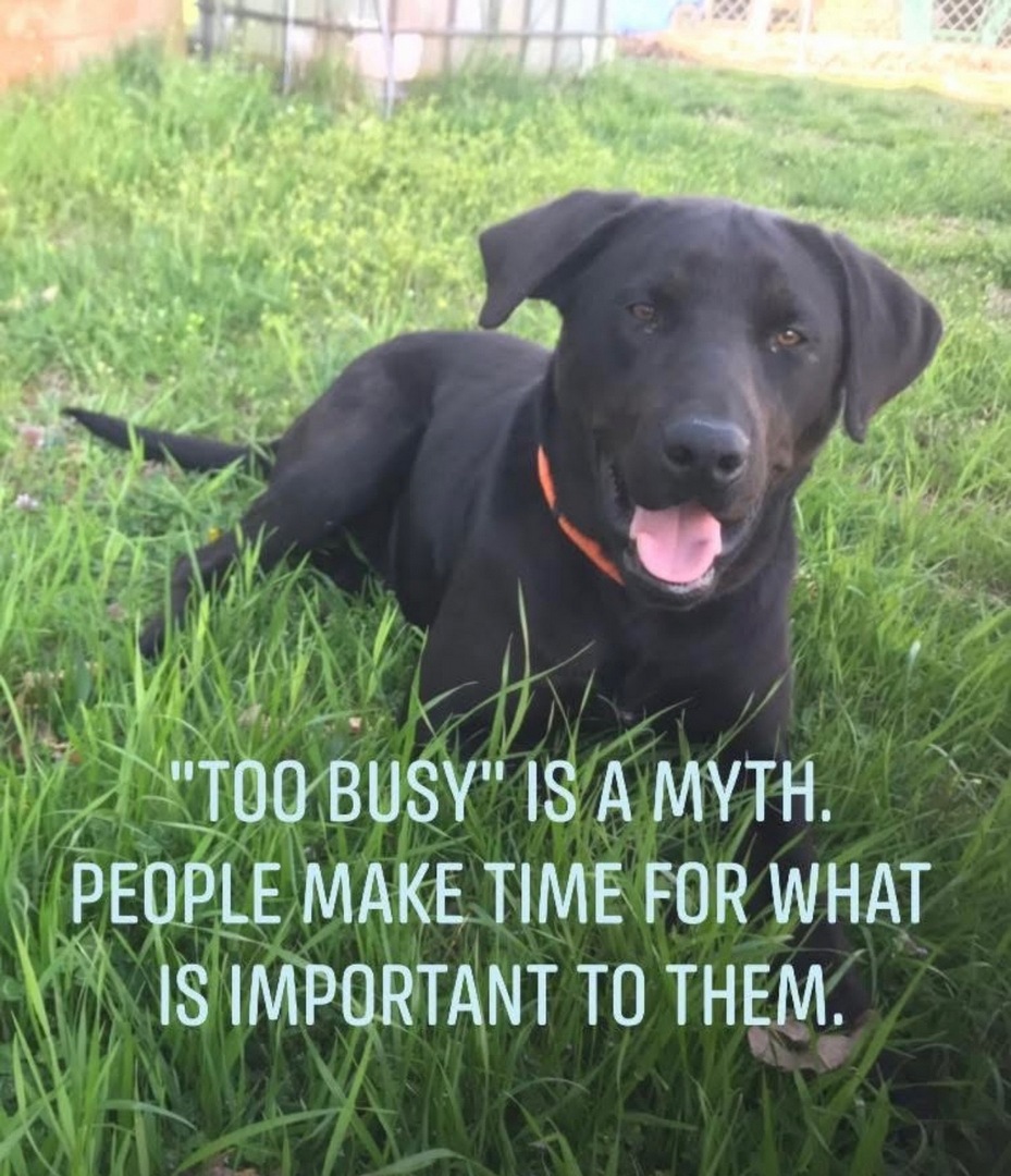 Amy L Cooksey: Oct 13, 1969 - Jun 13, 2025