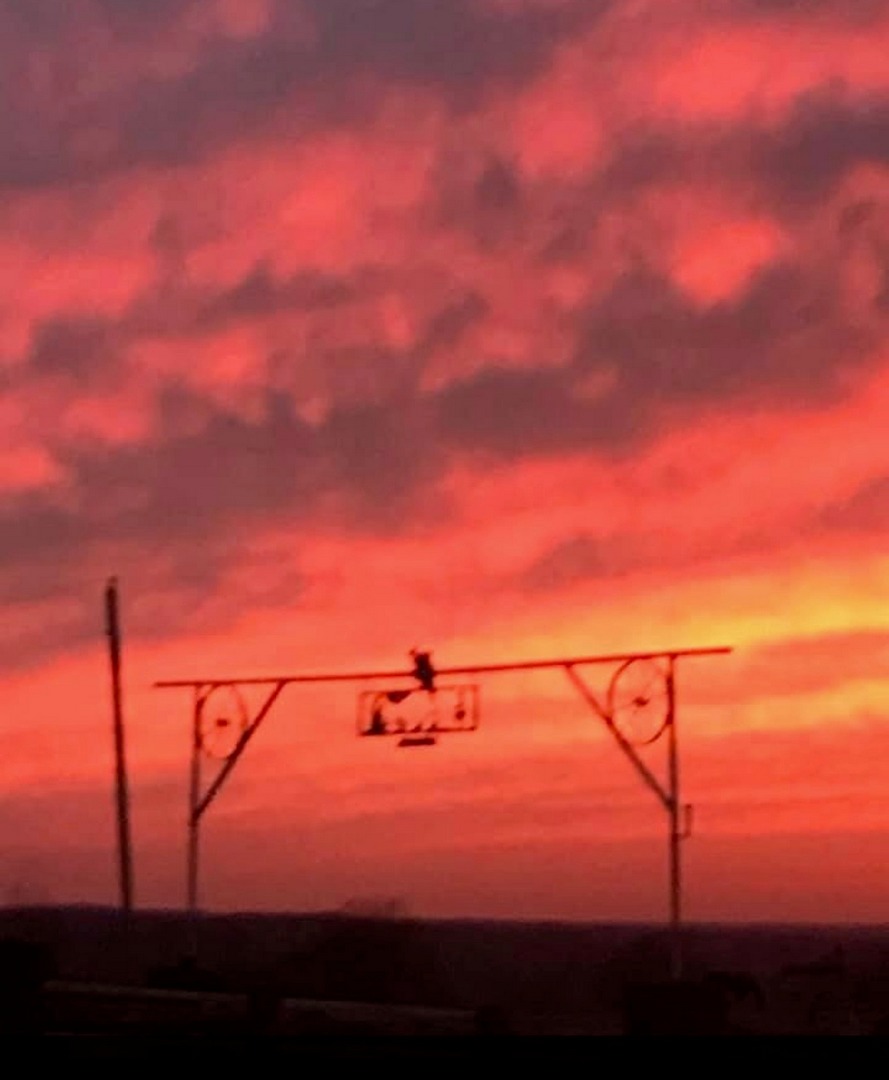 Amy L Cooksey: Oct 13, 1969 - Jun 13, 2025