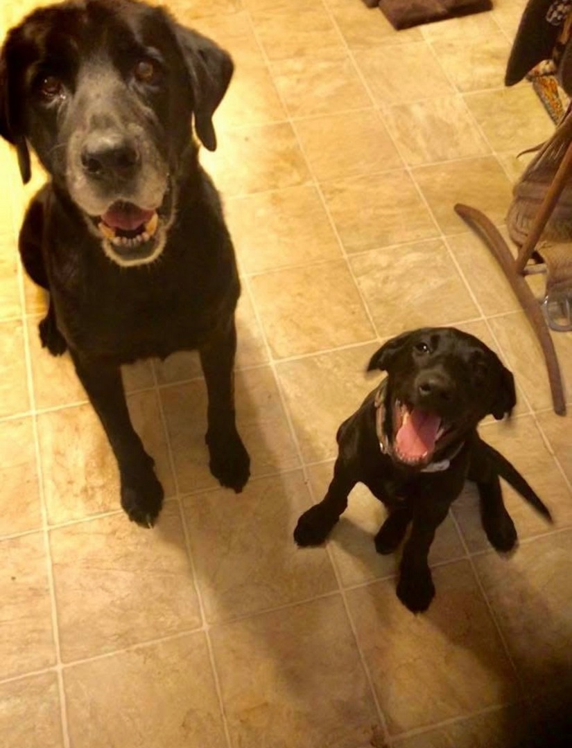 Amy L Cooksey: Oct 13, 1969 - Jun 13, 2025