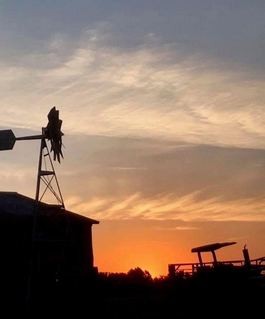 Amy L Cooksey: Oct 13, 1969 - Jun 13, 2025