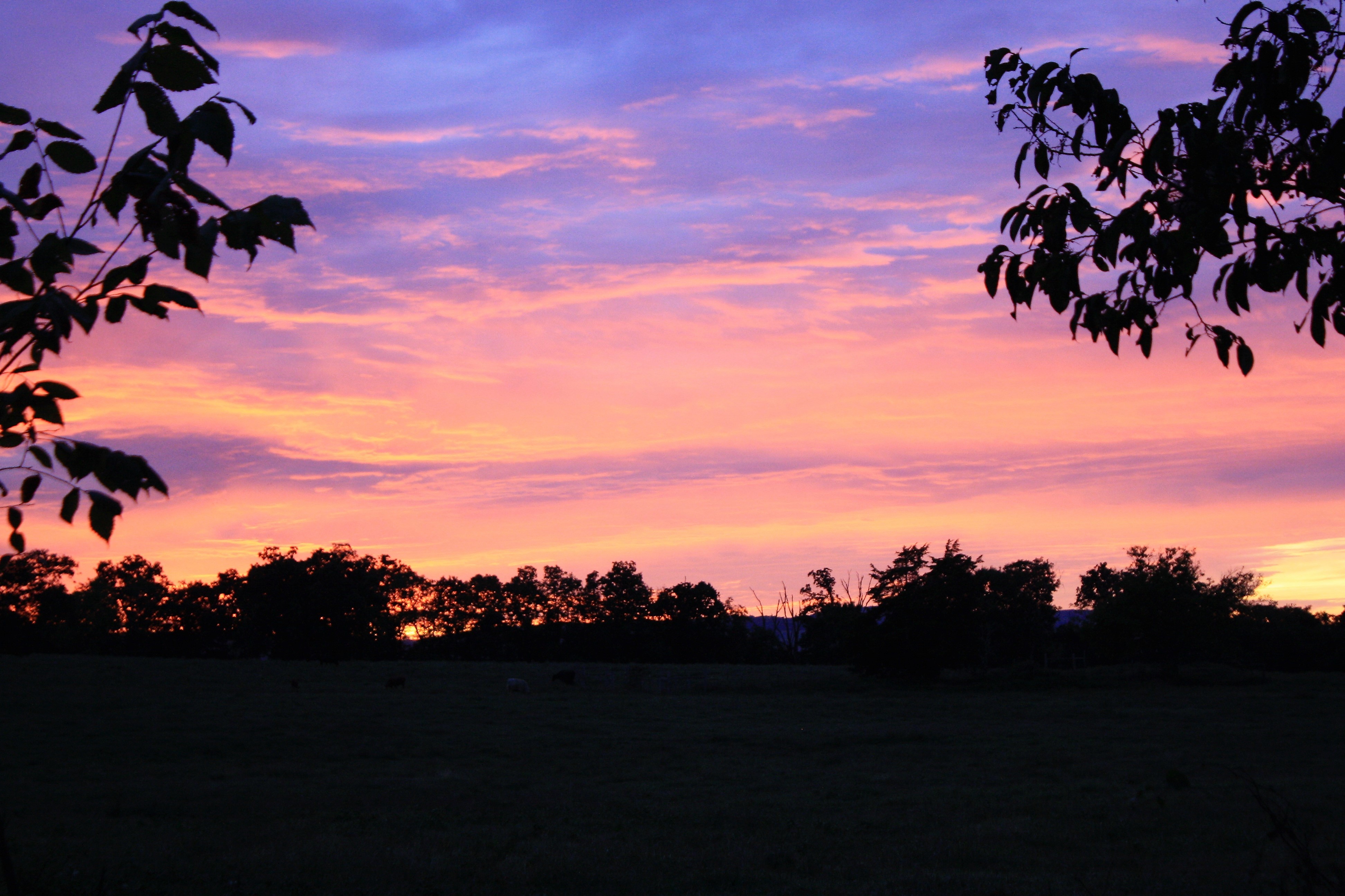 James Leo Daugherty: Nov 2, 1927 - May 28, 2023