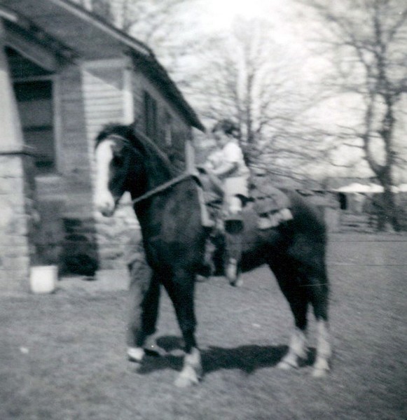 Allan Leon Pershall: Jan 27, 1955 - Mar 24, 2015