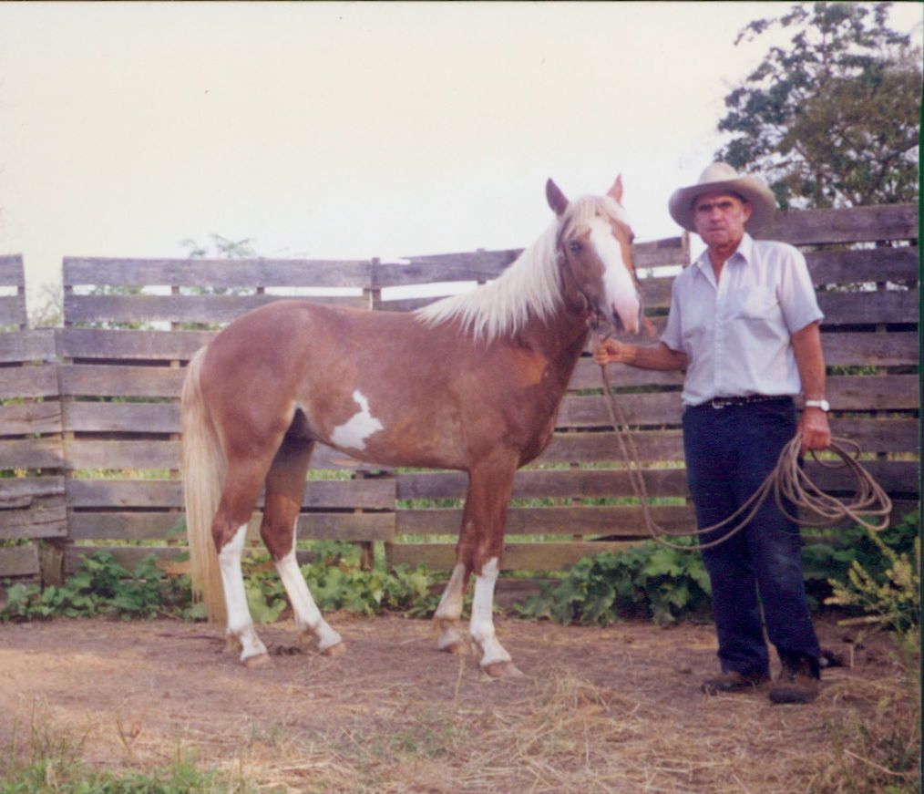 Harold Dean Rowe: Mar 20, 1943 - Dec 21, 2024